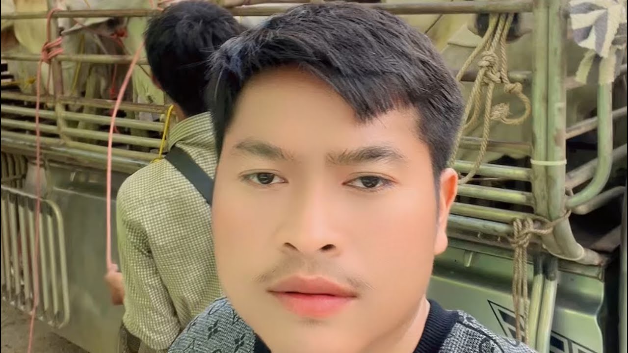 ហ៊ាធូមើលគោនៅខ្វាវលិ - YouTube