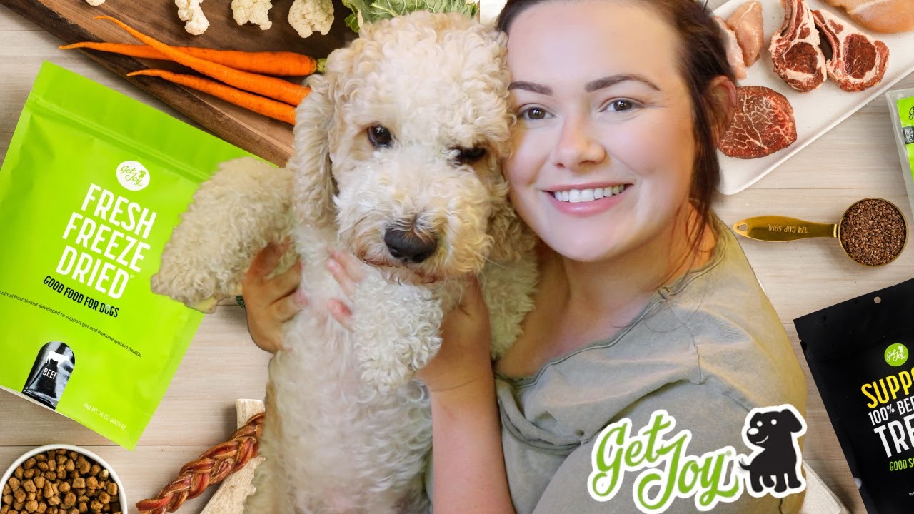 Keeping My Pup Happy & Healthy With Get Joy Freeze-Dried Dog Food ...