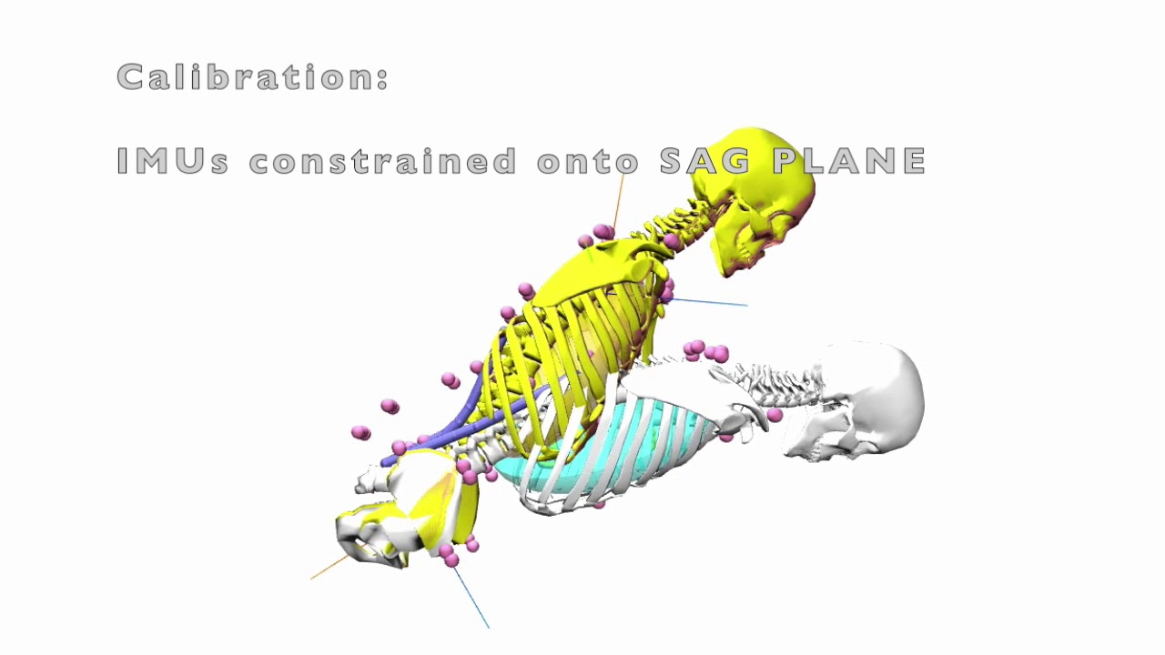 OpenSense - Tracking spinal motion via IMUs and MSK models - YouTube