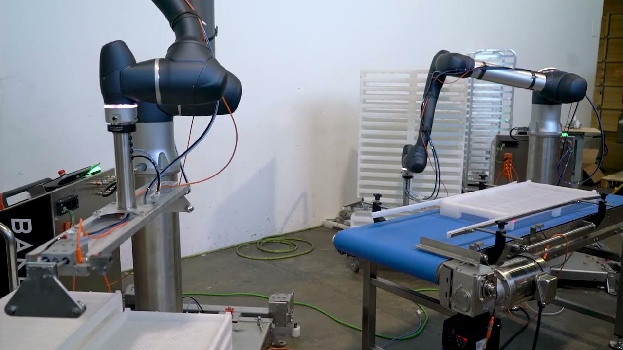 Robotic Dual Tray Loading and Unloading for CBD Gummies - Apex Motion Control Baker-Bot MAX ...