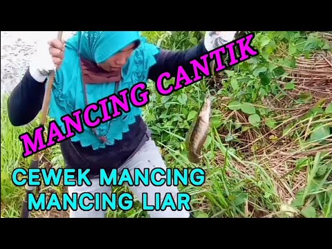 CEWEK MANCING LIARAN // MANCING CANTIK // CEWEK MANCING