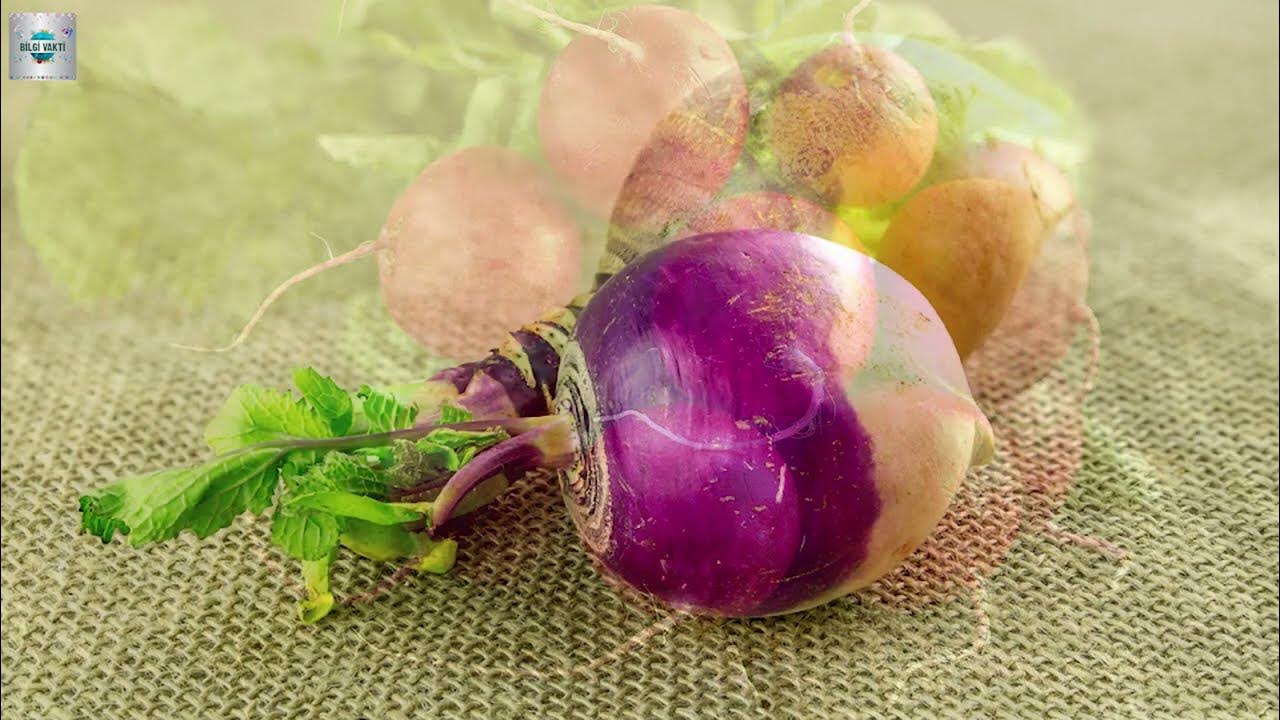 Turpun faydaları ve Zararları Nelerdir ? - YouTube