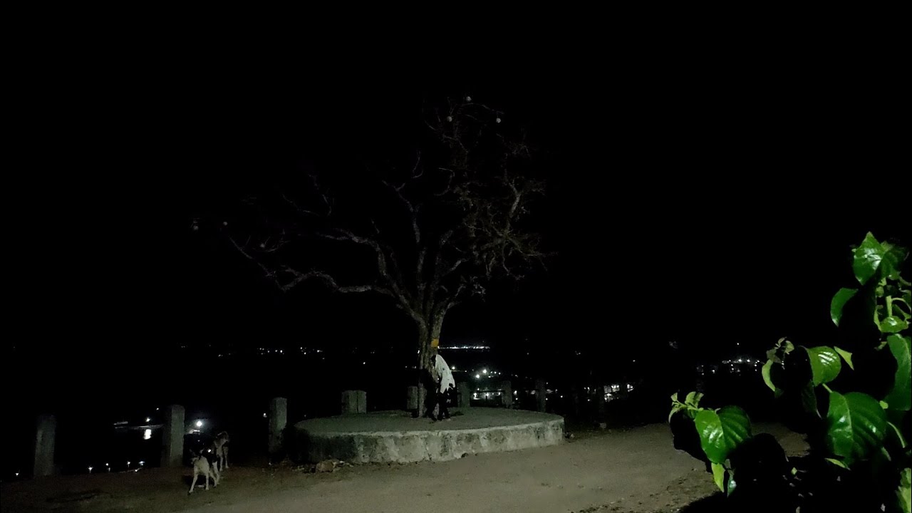 Real Ghost on tree 2023 - YouTube