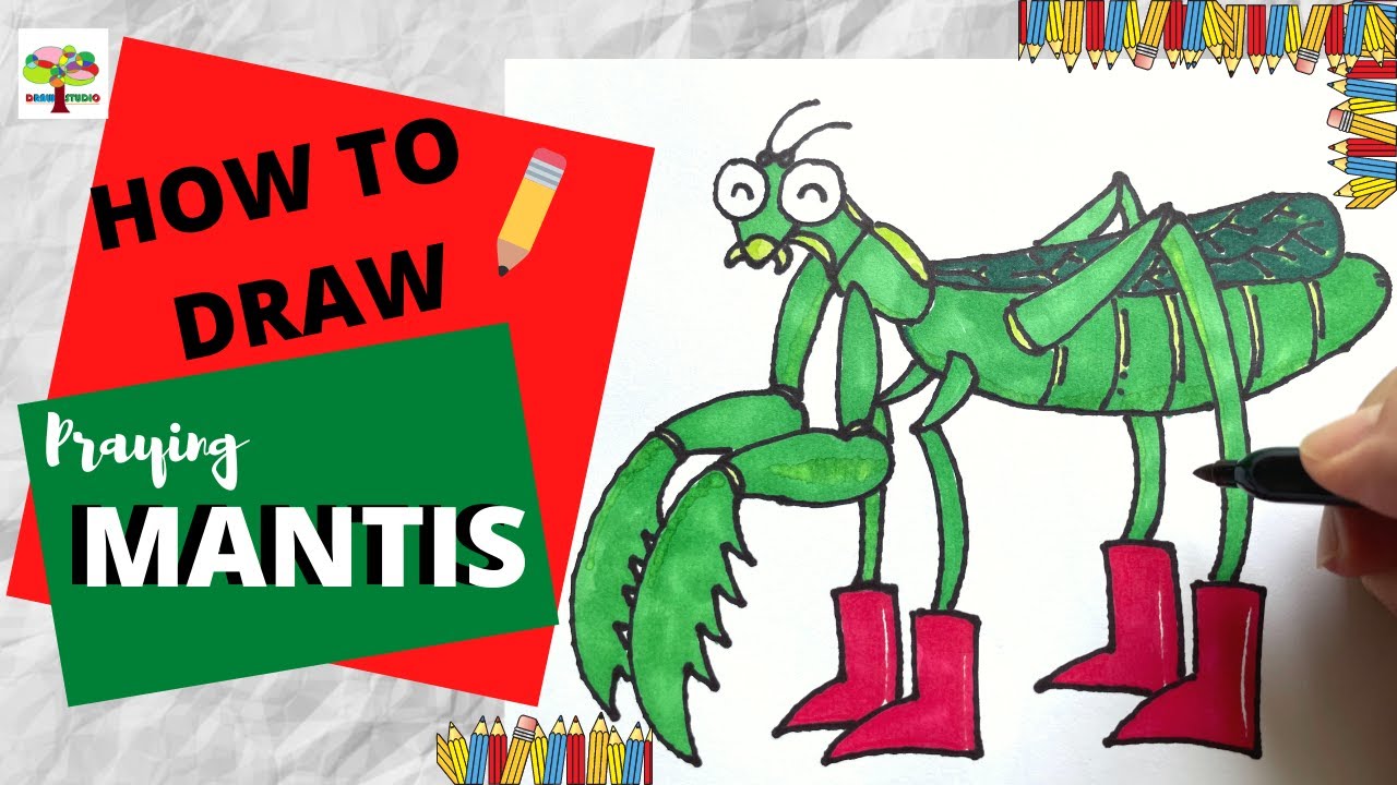 How to draw Mantis step by step - YouTube