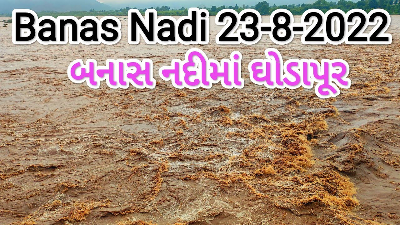 Banas nadi 23-8-2022 || BANAS nadi ||બનાસ નદી || Banas nadi live Banas ...