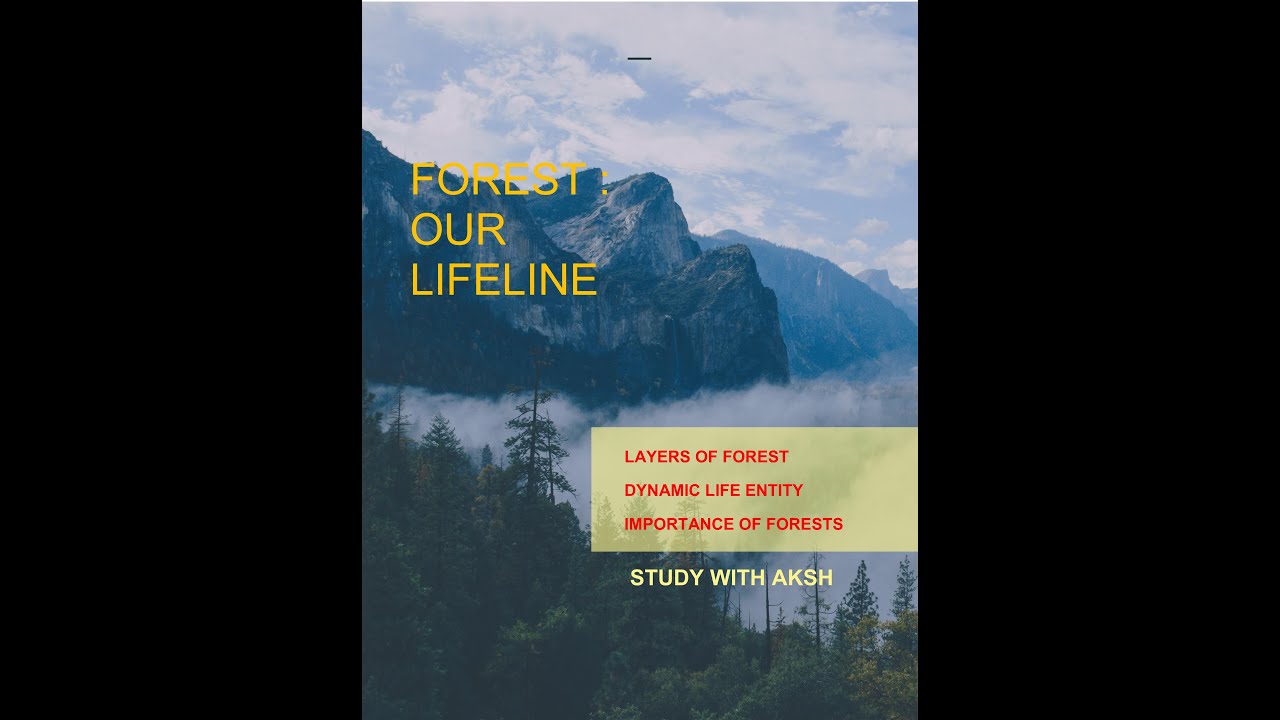 Forest Our Lifeline Class 7 Study With Aksh YouTube forest-our-lifeline-class-7-study-with-aksh-youtube