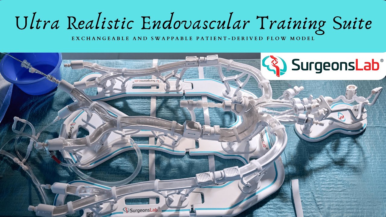 Train Like Never Before: Hyper-Realistic Endovascular Simulator ...