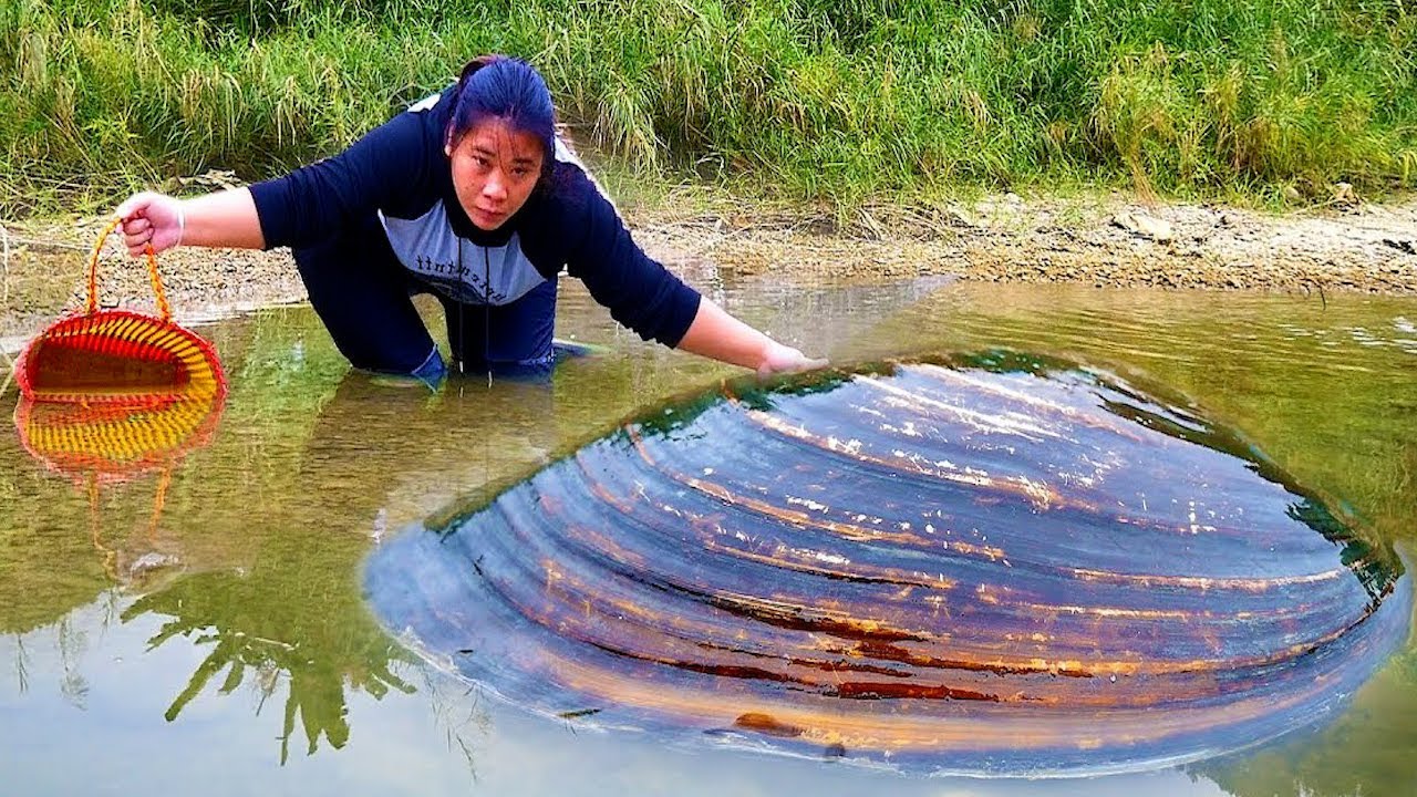 The Mystery of Clams! The girl discovered clams in the water and found ...