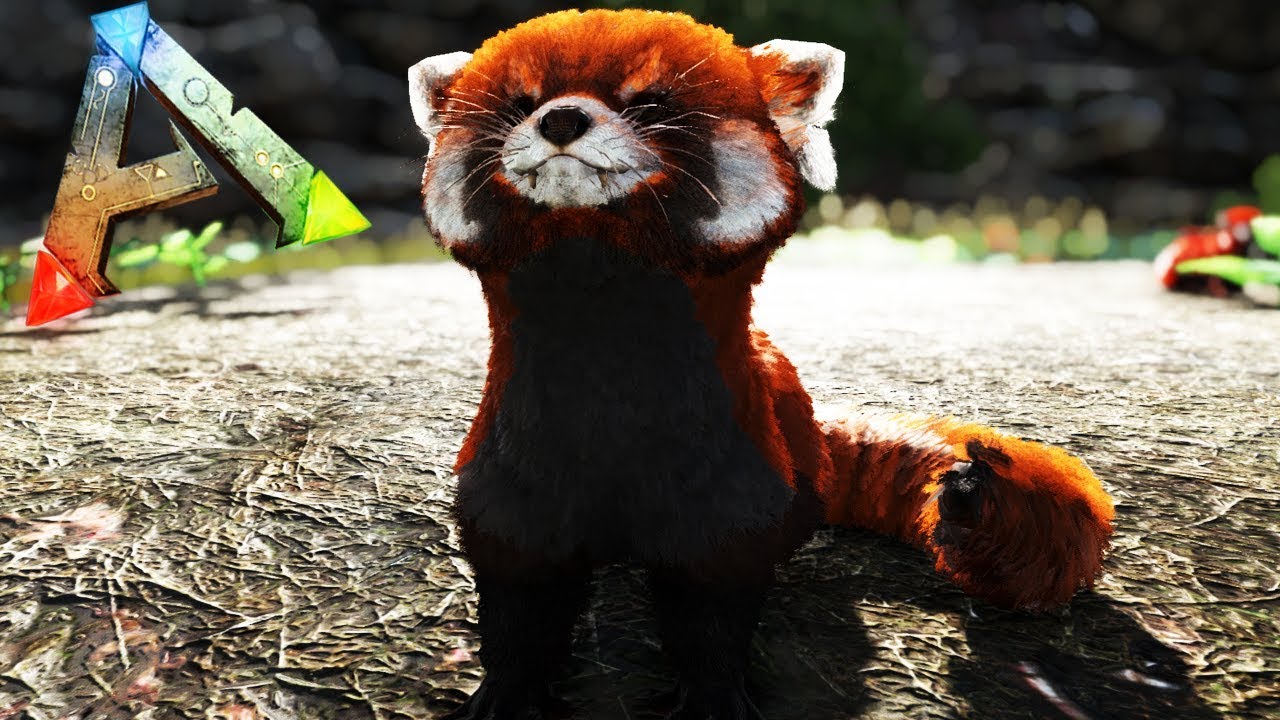 NUEVO *PANDA ROJO* EN ARK: SURVIVAL EVOLVED | Ark: Survival Evolved ...