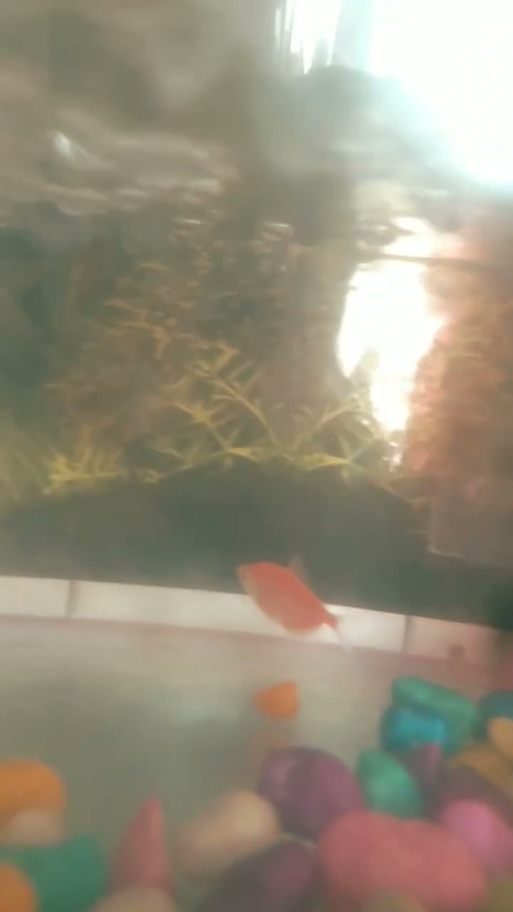 14 जून 2024 - YouTube