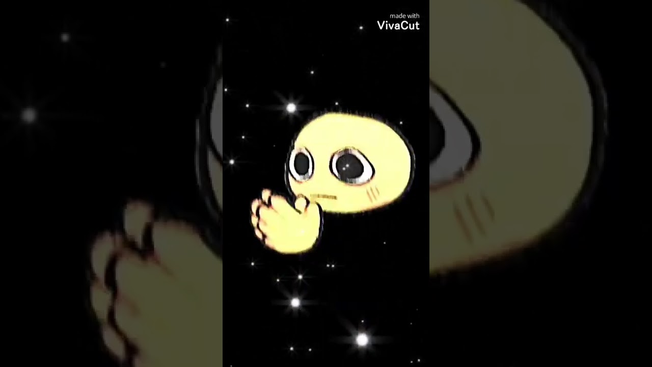 mi perrito mailo se yama mailo es guapo mi perro dejen su like porfa ...