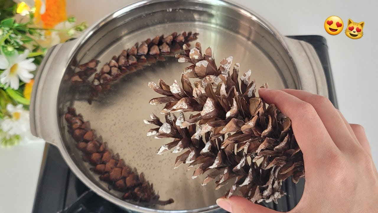Boil an pine fruit for 3 minutes, you will not believe the incredible ...