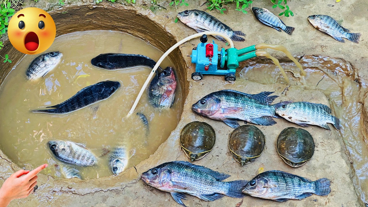 FISHING with a Mini Diesel Engine Water Pump is EXCITING @Mini Fish ...