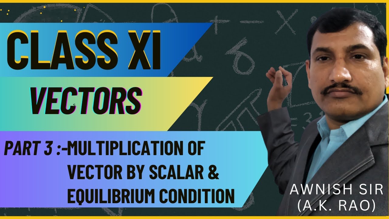 CLASS XI I VETCORS| PART 3- MULTPLICATION OF VECTOR BY SCALAR ...