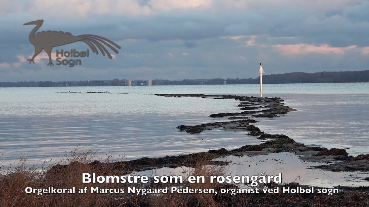 Blomstre som en rosengård - Orgelkoral, Marcus Nygaard Pedersen - YouTube