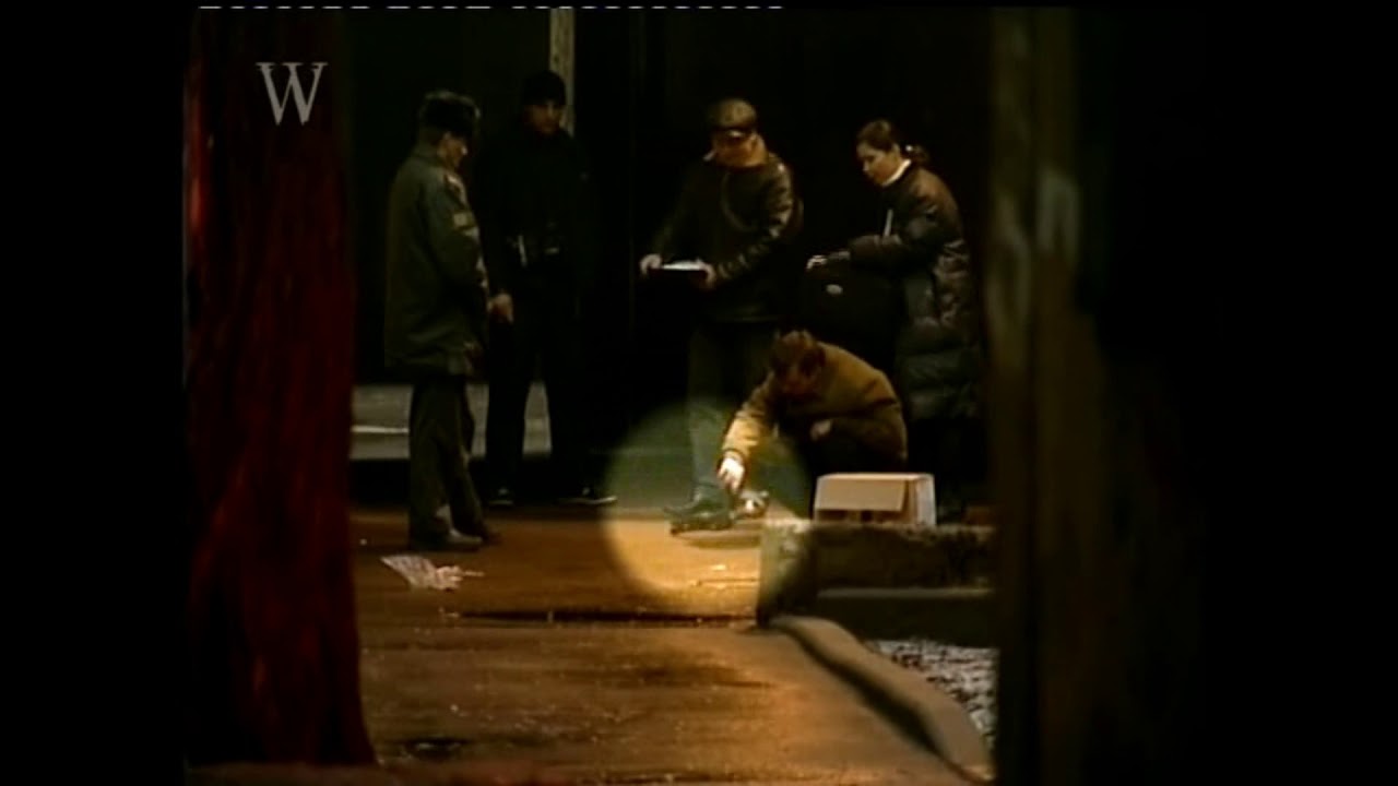 Documentary W Reporter - YouTube