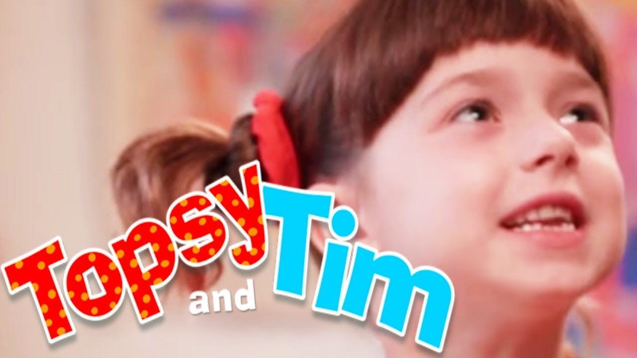 2 Hour Long Compilation! | Topsy & Tim | Cartoons For Kids | WildBrain ...
