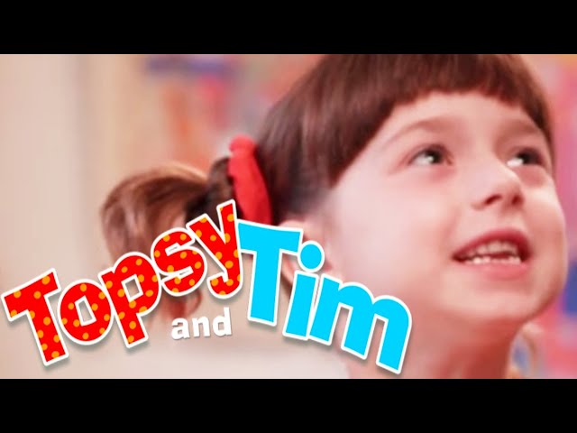 2 Hour Long Compilation! | Topsy & Tim | Cartoons For Kids | WildBrain ...