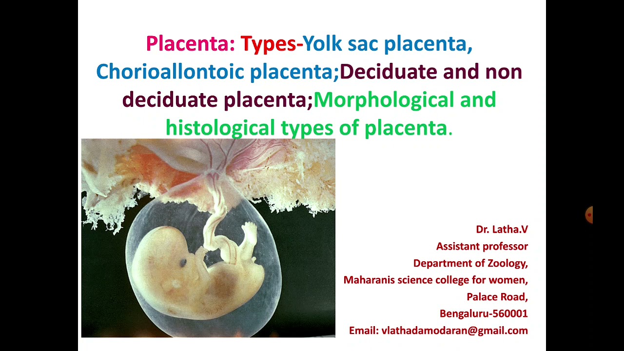 Placenta and its types - YouTube