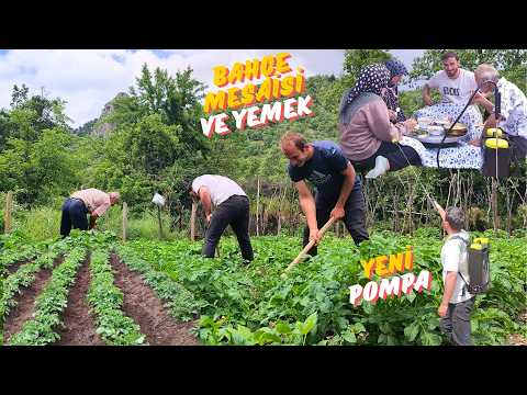 KÖYDE DAMDA ÖĞLE YEMEĞİ PATATES TE SON AŞAMA