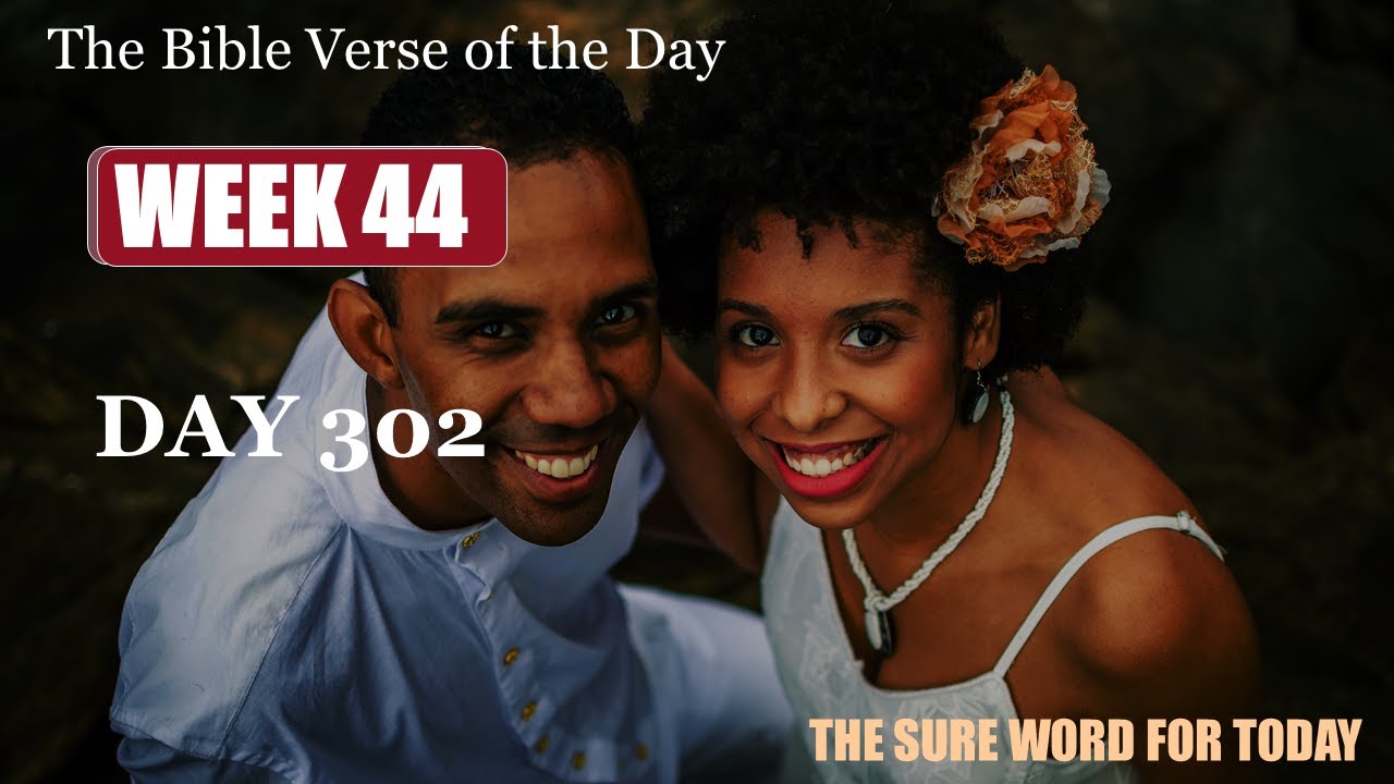 The Bible Verse of the Day |WEEK 44 |Day 302 - YouTube