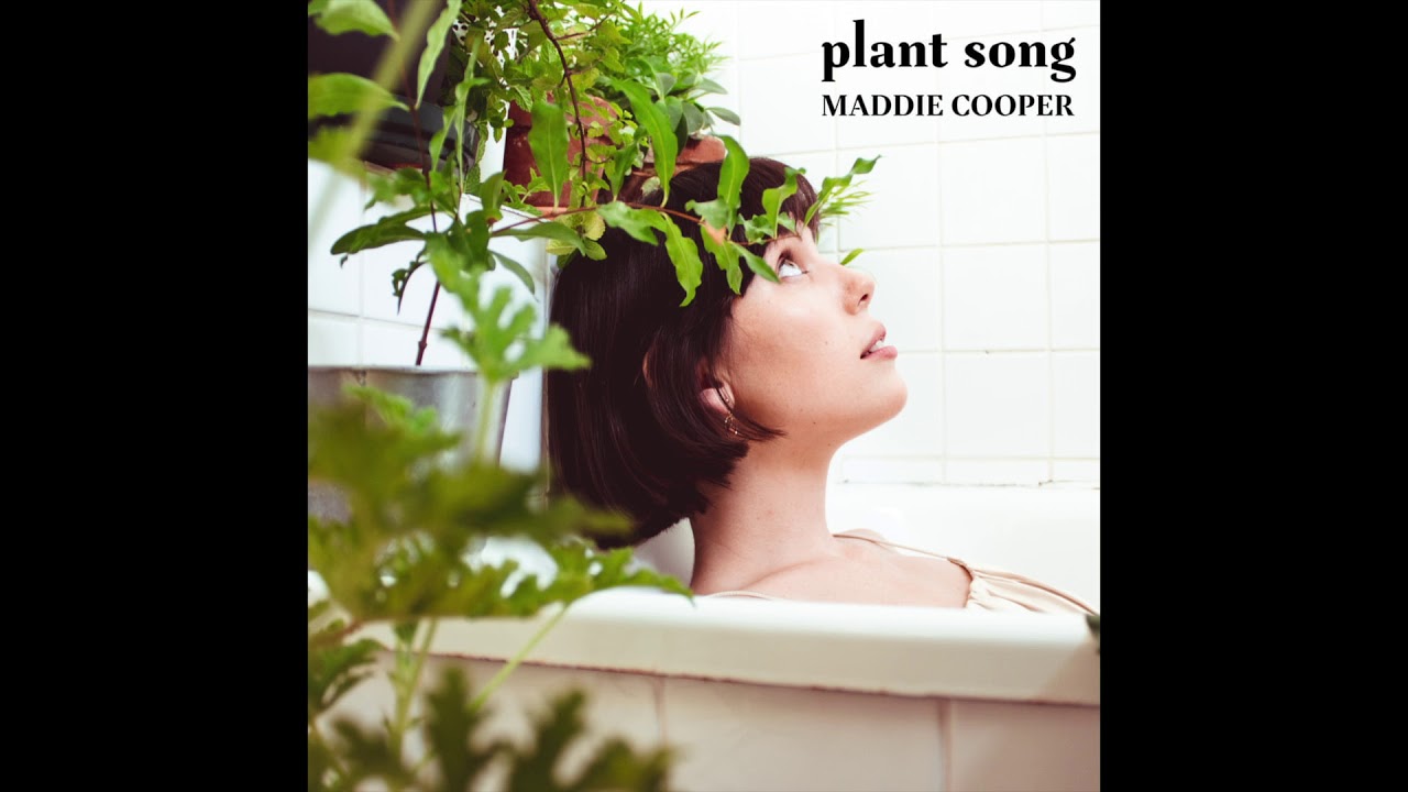 Plant Song - Maddie Cooper (Official Audio) + Guitar Chords - YouTube