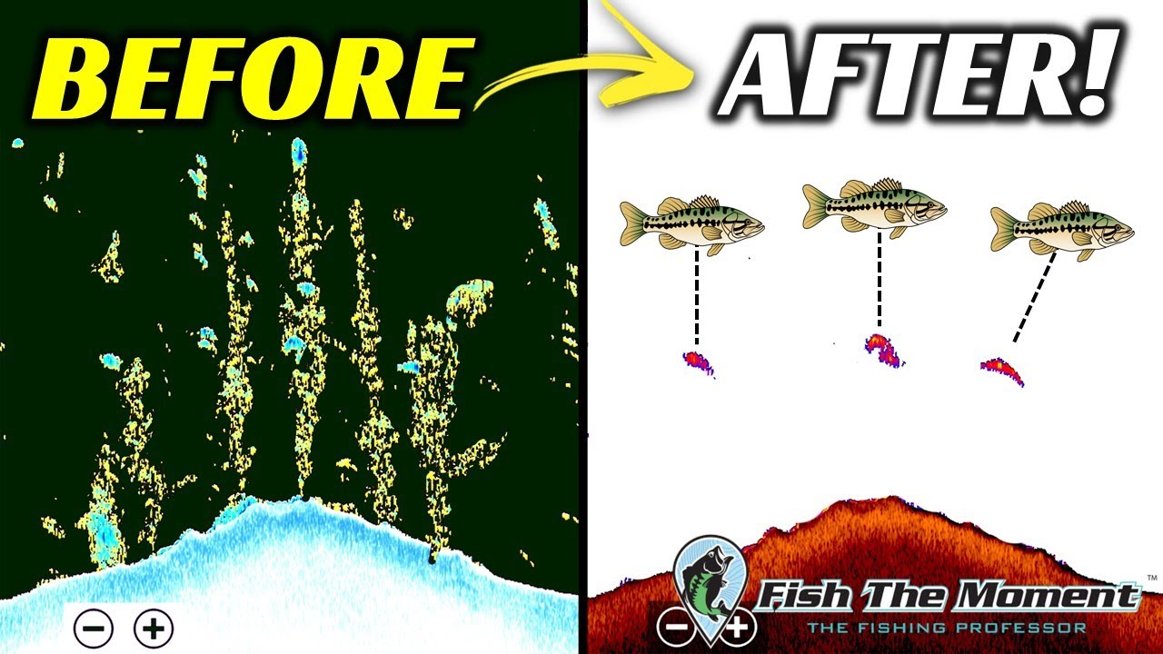Transform Your Fish Finder Image in 5 Minutes – Ideal Fish Finder ...