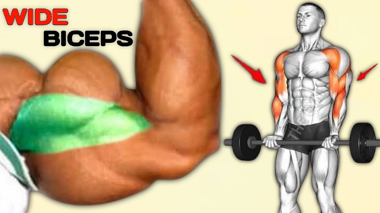 Best Exercises For Wide Biceps💪😱|| #hype @FitnessFAQs - YouTube