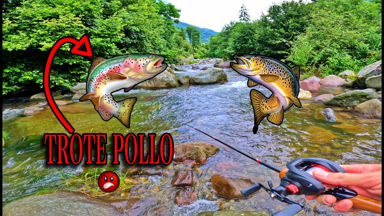 Siamo Tornati in Montagna | Pescare le Trote a Casting e Spinning ...