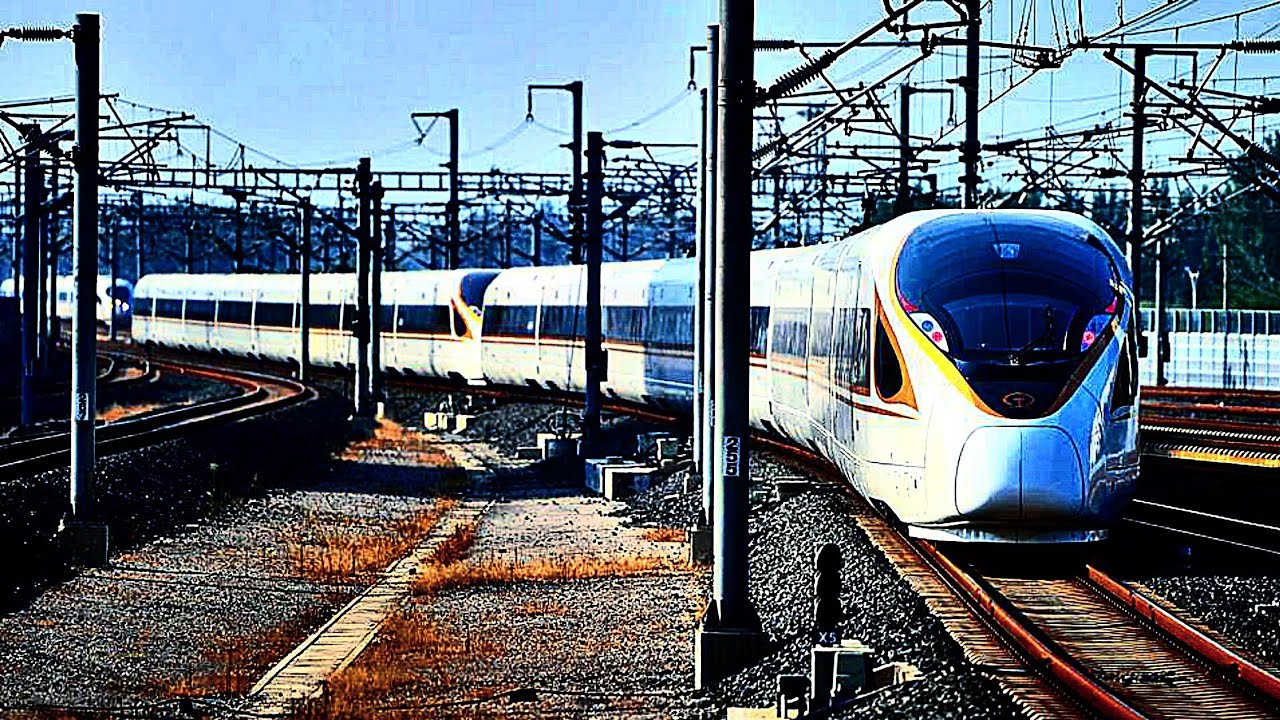 Train race game/Train stunt game/Train race and stunt game simulator ...