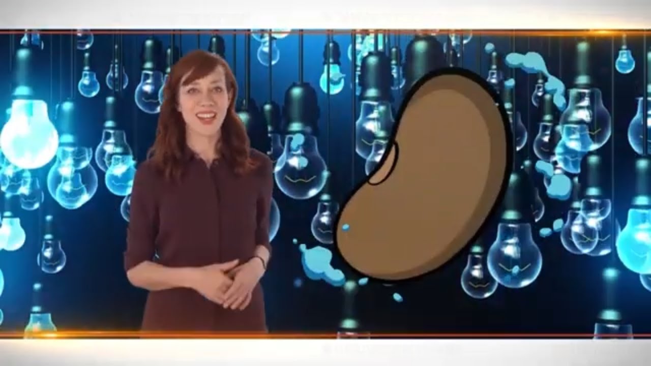 MOcabulary with Alie Ward: Defining Transitory and Derivative ...