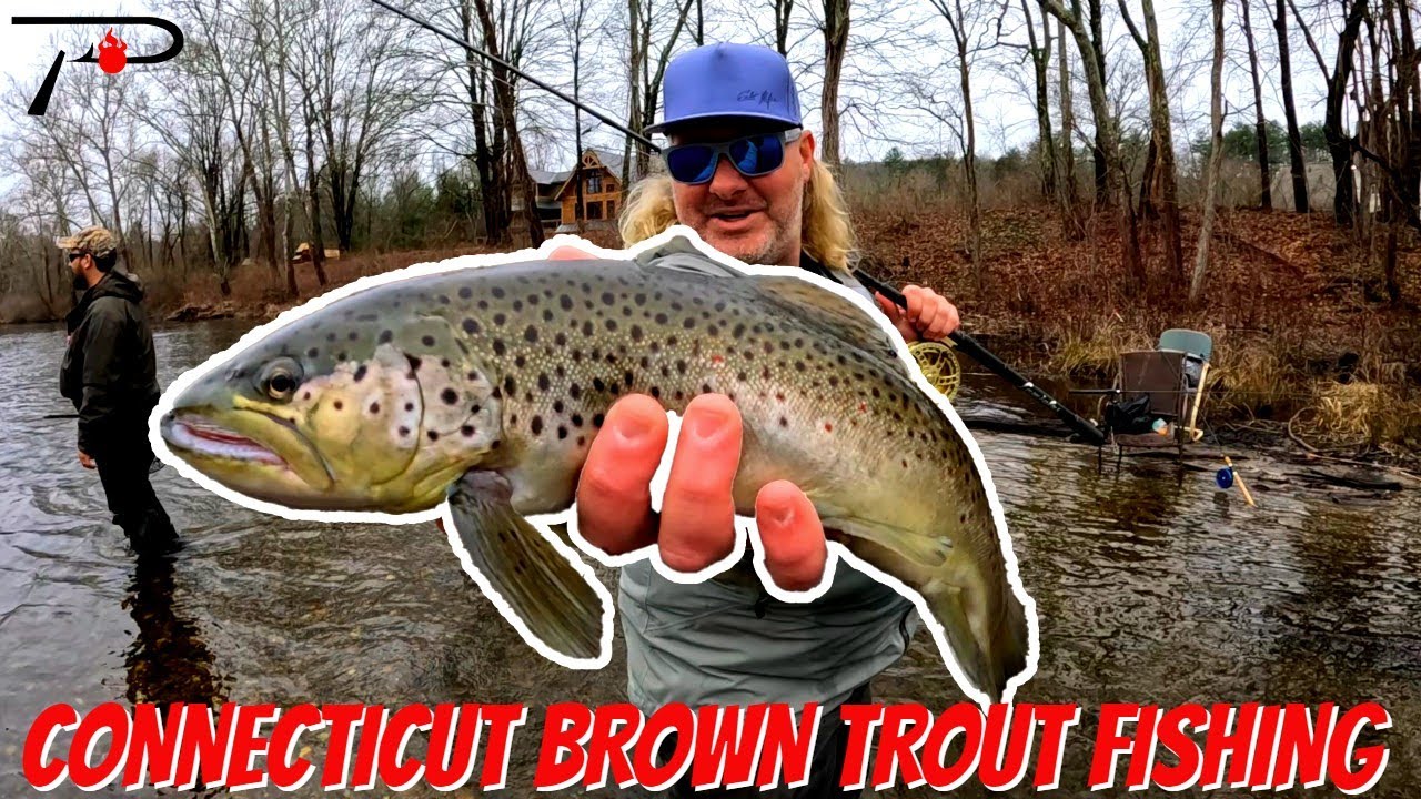 Connecticut Brown Trout Fishing - YouTube