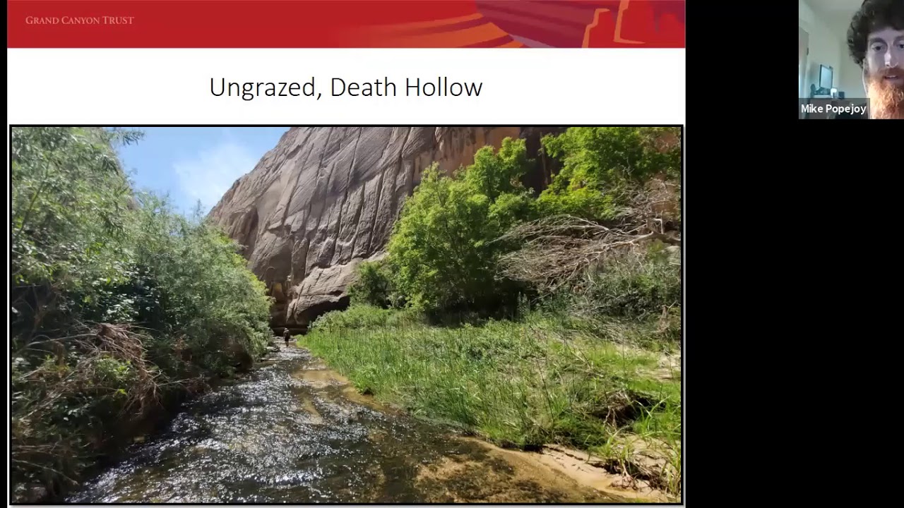 Ask an Expert with Mike Popejoy - YouTube