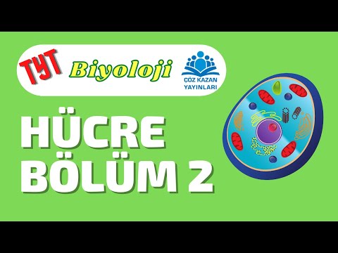 TYT Biyoloji - Hücre Bölüm 2 I TYT Kamp 2022