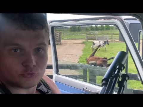 HOMEKILL SHOOTING COMPILATION 2021- DOON, REIDO & NICK