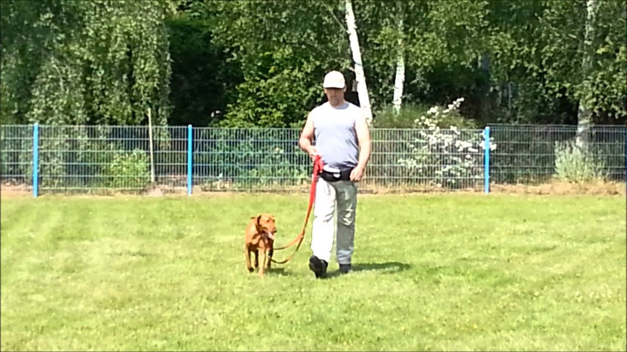 Malek 04 06 2014 Training - YouTube