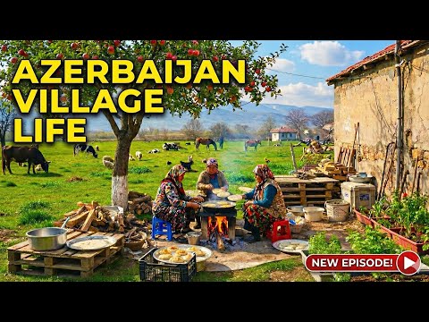 Azerbaijan Village Daily Life | Nomadic,Culture Cooking, Weddings & Farming Life 🇦🇿 Countryside 