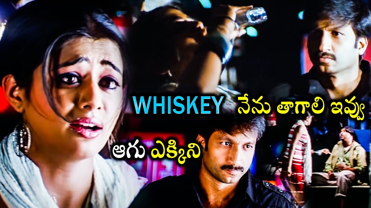 Golimaar Movie Priyamani Drinking Comedy Scene || Gopichand || Movie ...