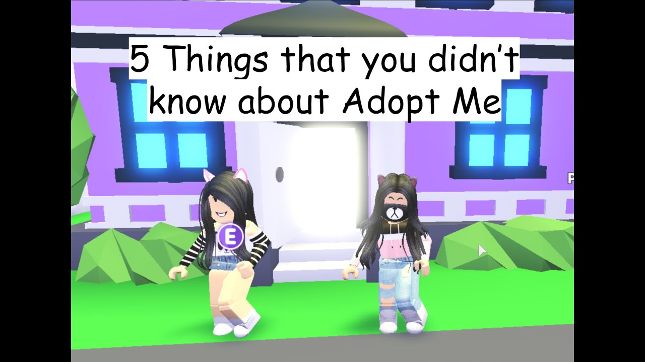 5 things that you didn't know about Adopt Me - YouTube