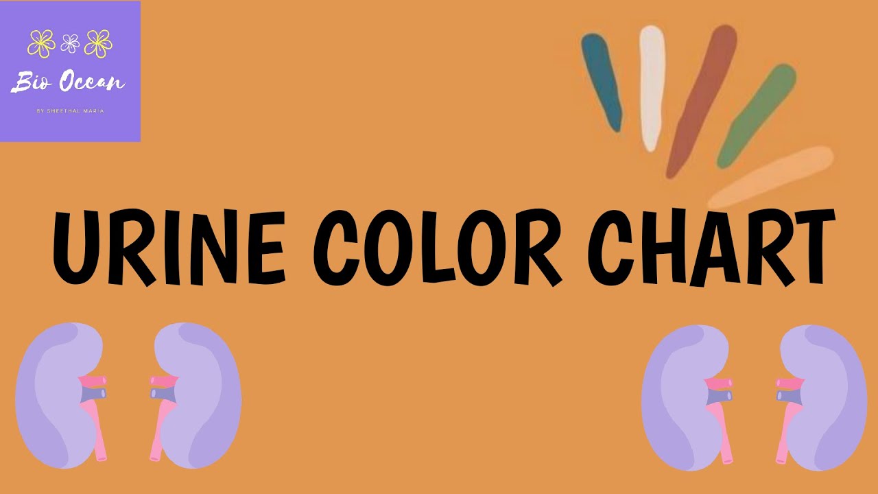 URINE COLOR CHART - Bio Ocean by Sheethal Maria - YouTube