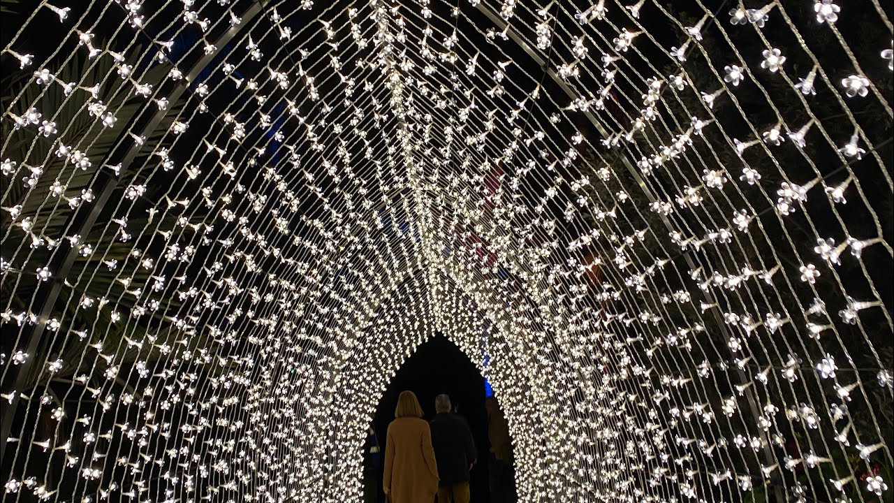 San Diego Botanic Garden Lightscape 2022 - Singing Tree - YouTube