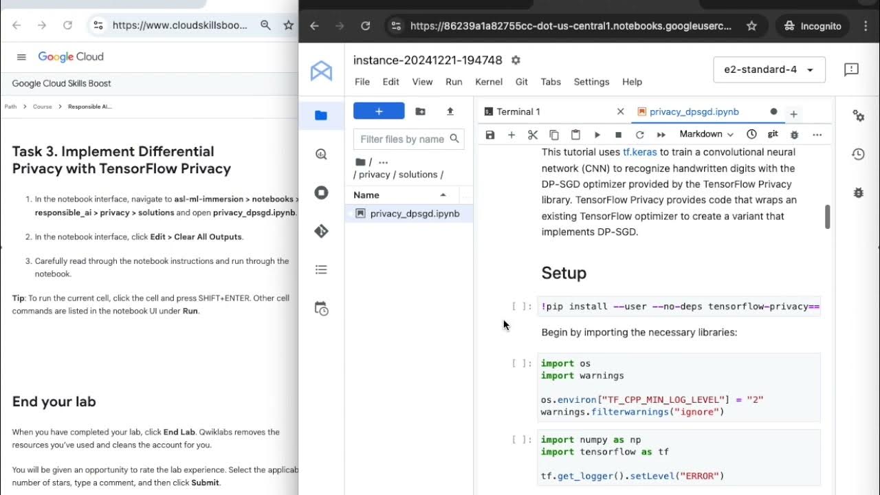Differential Privacy in Machine Learning with TensorFlow Privacy Lab Solution - YouTube