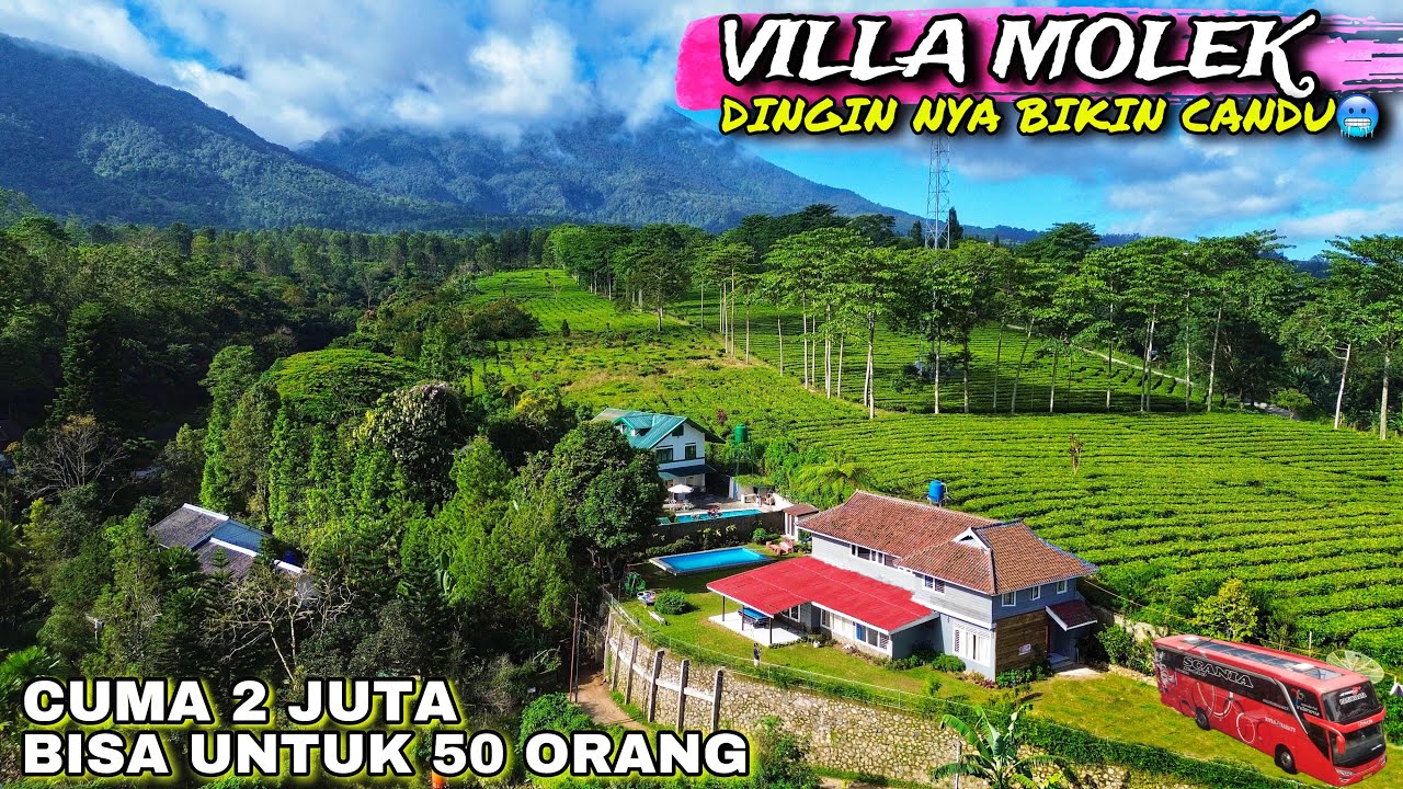 VILLA MURAH DI PUNCAK BOGOR | 2 JUTA BISA BAWA ROMBONGAN PAKAI BUS | VILLA MOLEK PUNCAK - YouTube