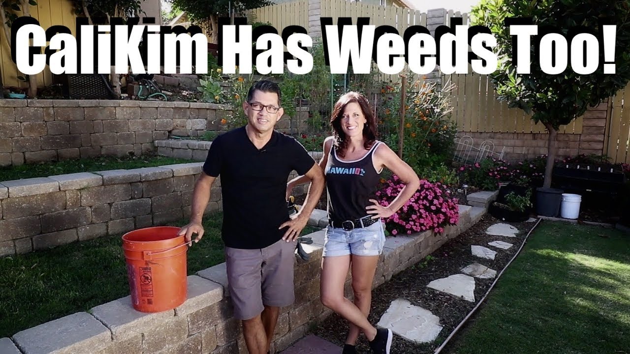 CaliKim has Weeds Too! // Beyond the Garden #2 - YouTube