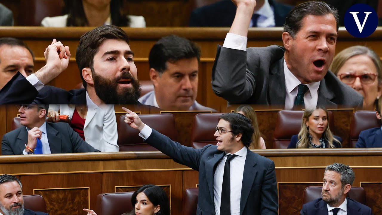 La secuencia completa de la bronca en el Congreso durante el debate ...