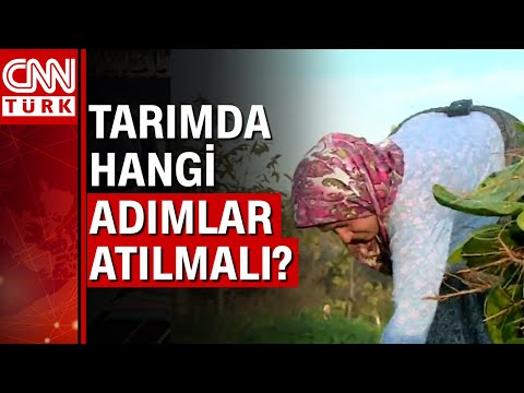 İstanbul'da tarım yapılabilir mi?