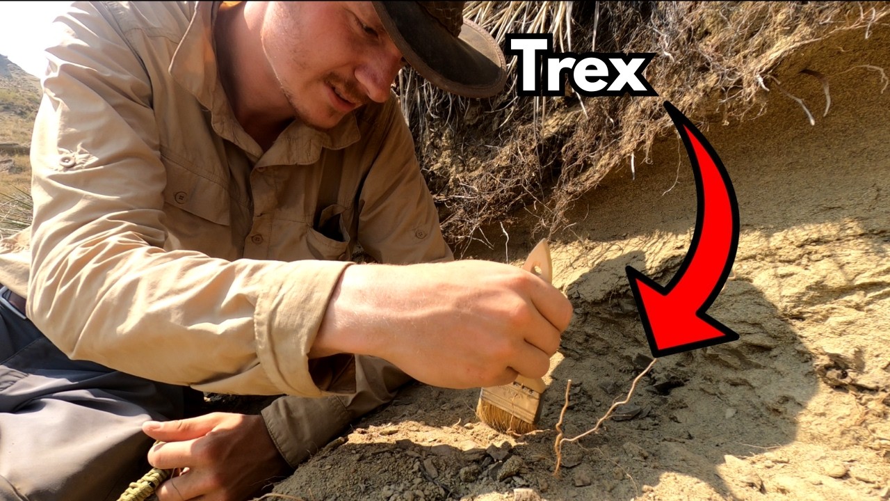 Top 5 rarest fossil discoveries of 2024 - YouTube