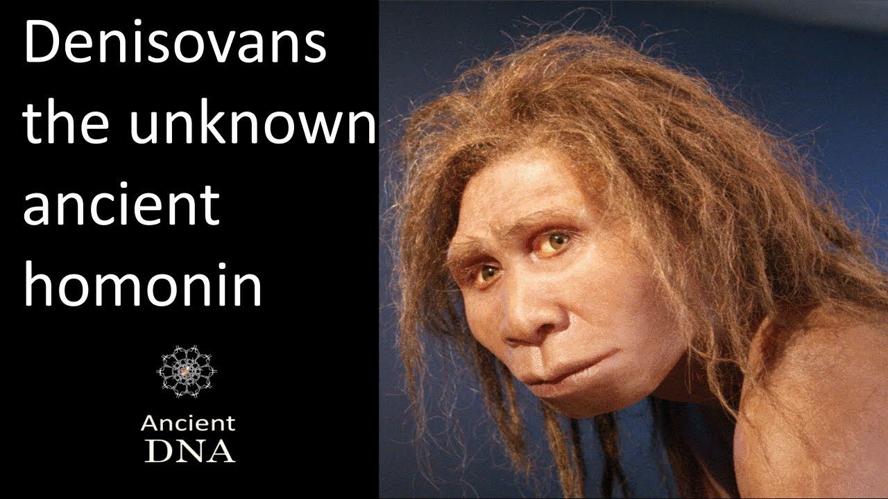 Denisovan the unknown ancient homonin - YouTube