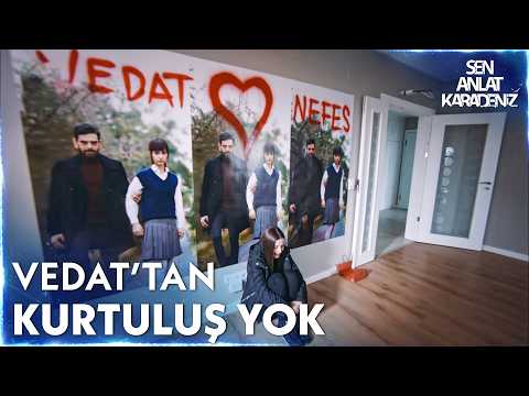 Vedat'tan Nefes ve Tahir'e düğün hediyesi- Sen Anlat Karadeniz 38. Bölüm