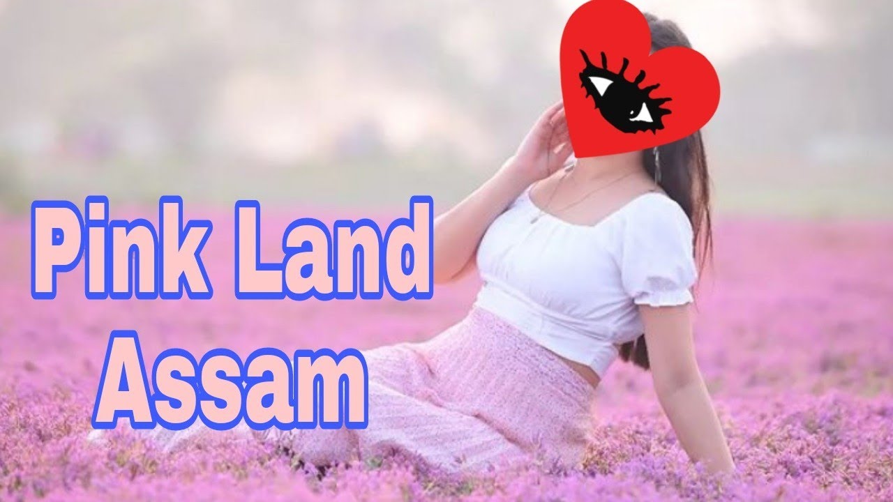 Pinkland || পিংকলেণ্ড || Viral pink flowers || Darrang Pinkland ||🤘 ...